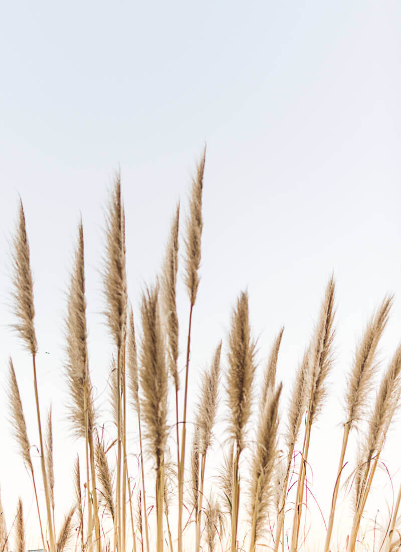 non-profit-04 | Saving Your Brain